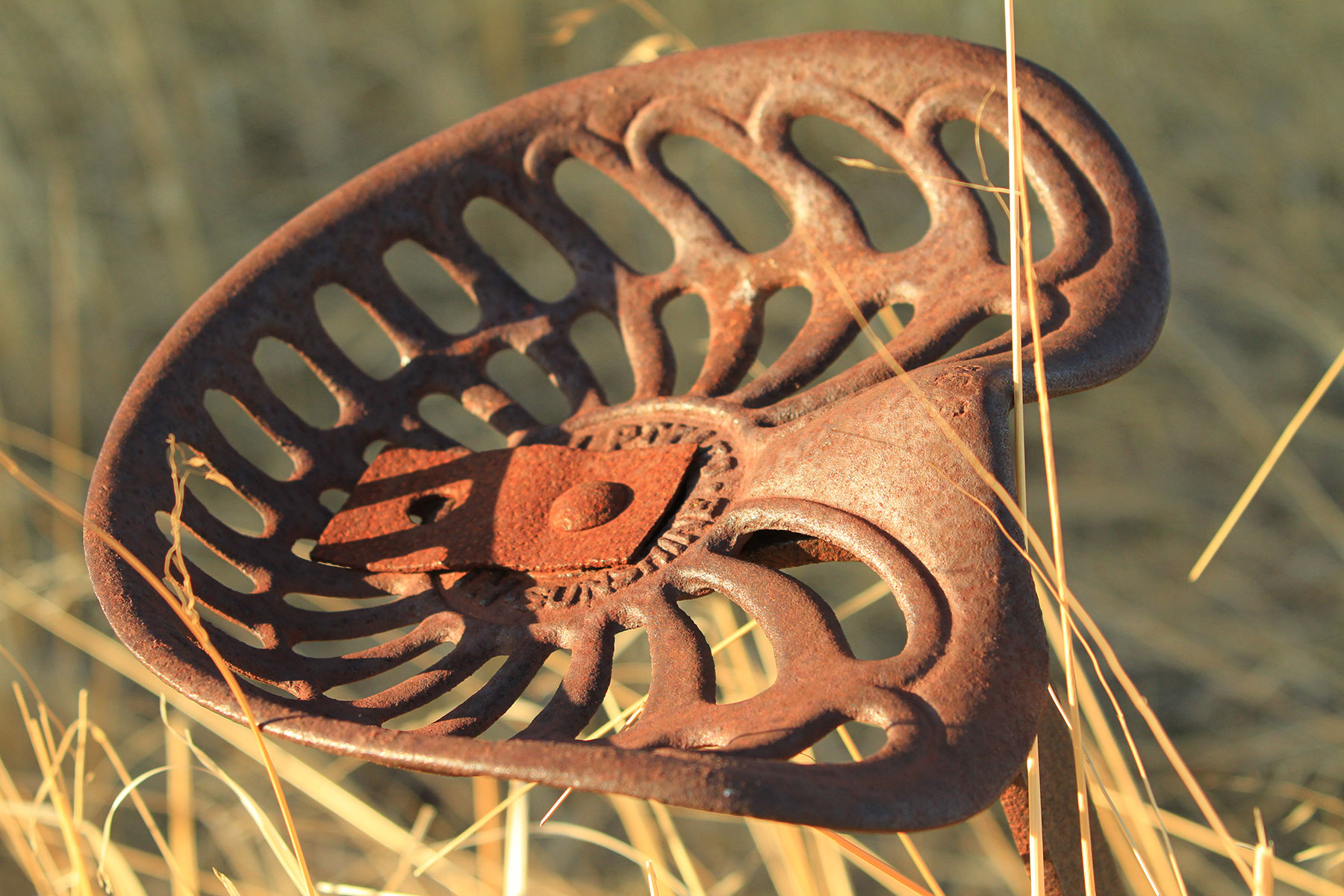 About George – The Wheatbelt Water Diviner – The Divining Tool